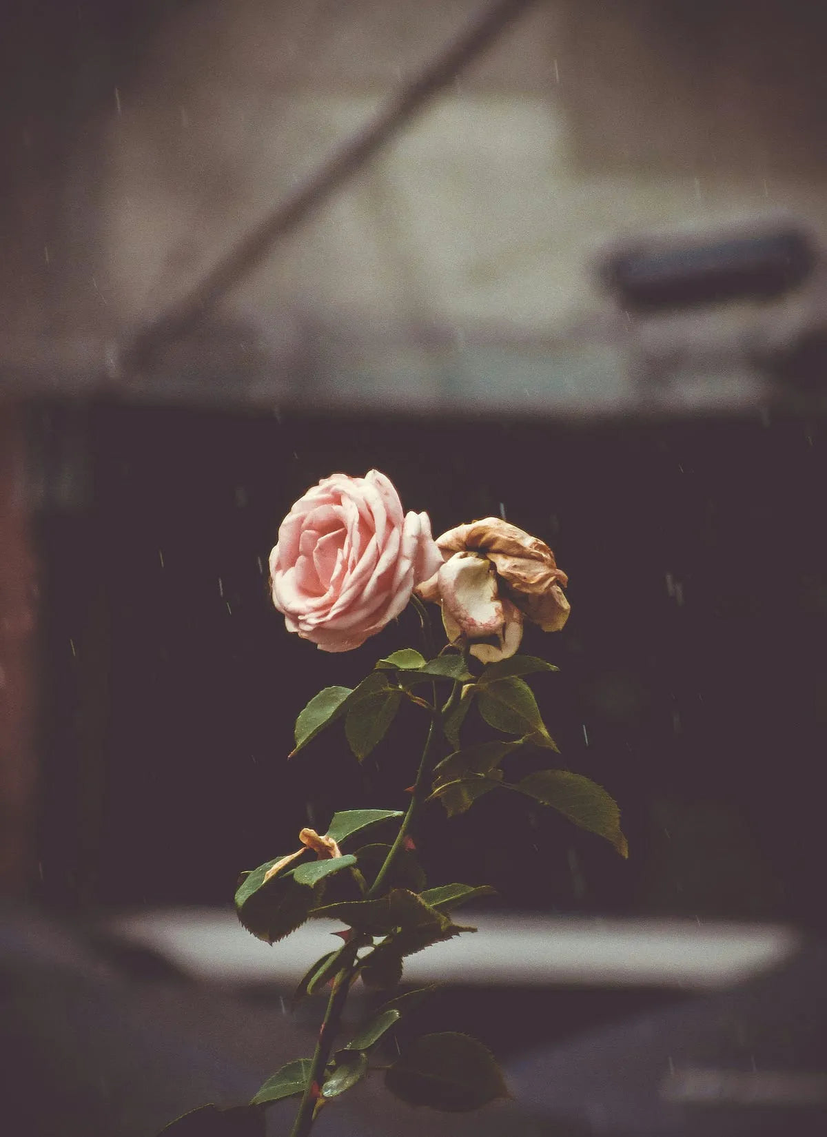 Mit o "savršeno" pisanju u eri veštačke inteligencije – AI Academy