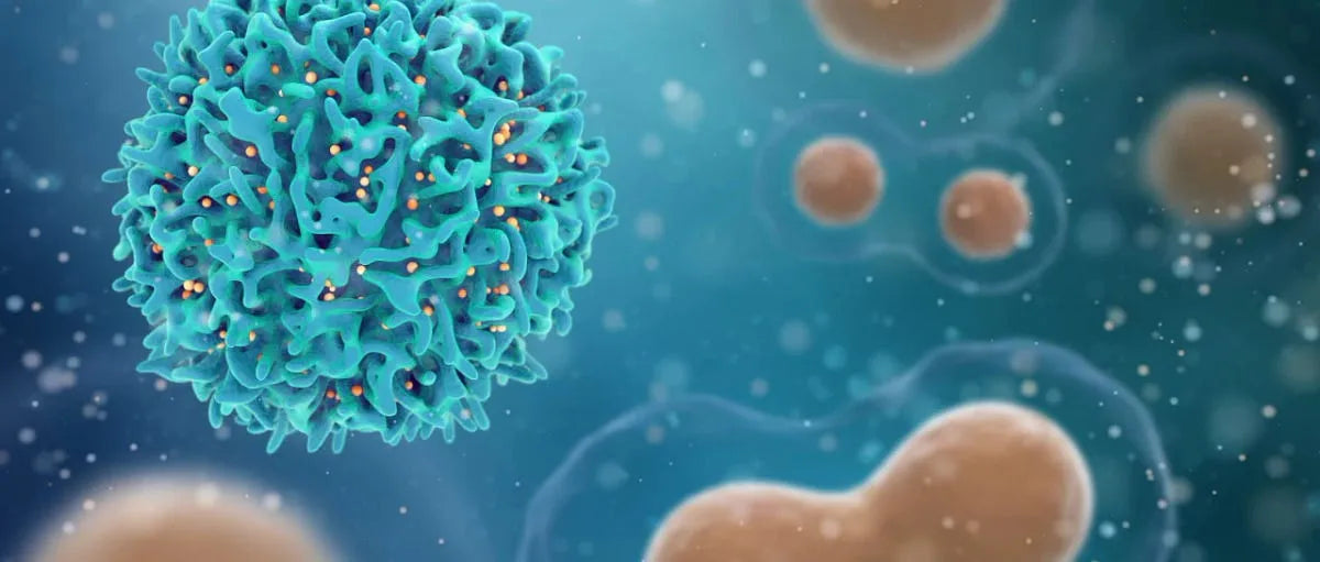 Umjetna Inteligencija u Sintetičkoj Biologiji: Kako AI Mijenja Istraživanje i Razvoj – AI Academy