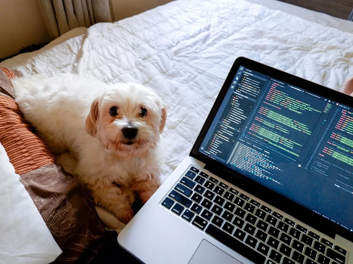 Vibe Coding: Kako mala aplikacija može postati izvor inspiracije i ...